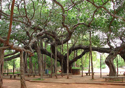 Easy Ways To Impress Lord Shani